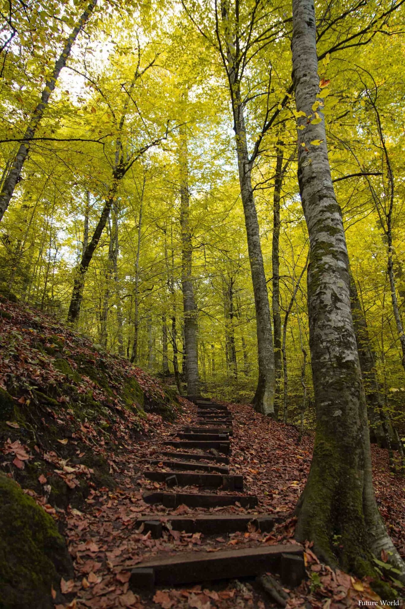 30 Best Vacation Spots In Turkey - Future World