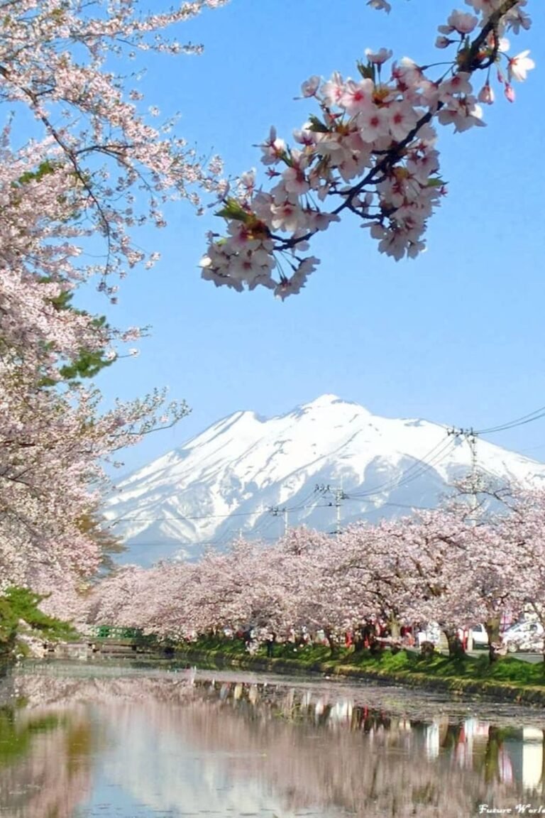 10 Best Things To Do In Japan - Future World
