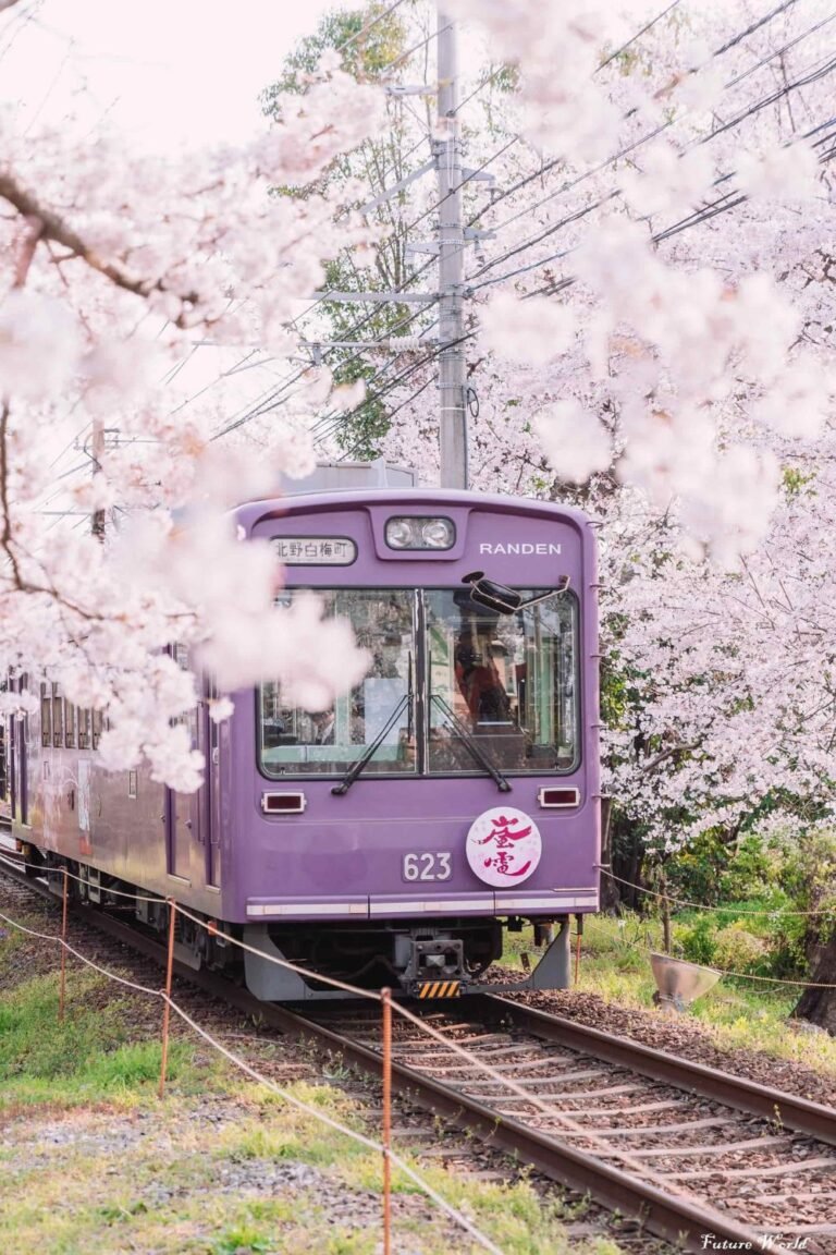 40 Top Things To See In Japan - Future World